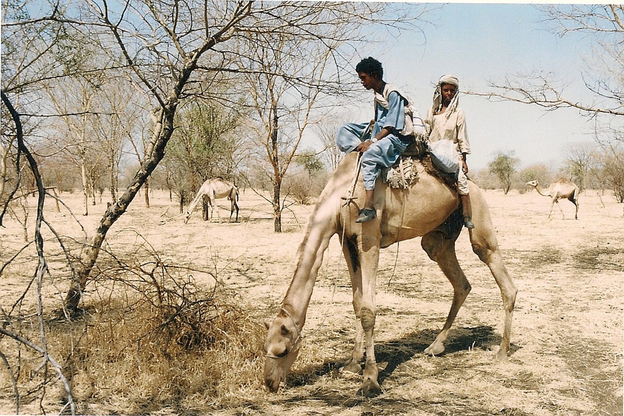 Projects | Environmental & Natural Resource Development Projects - The ...